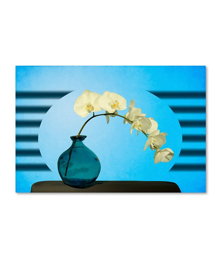 Trademark Global Mark Ashkenazi 'Orcidea' Canvas Art - 30" x 47" - Macy's