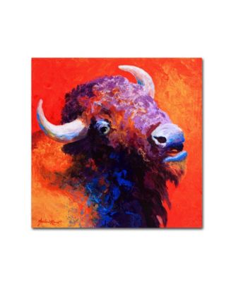 Trademark Global Marion Rose 'Bison Attitude' Canvas Art - 24" x 24 ...