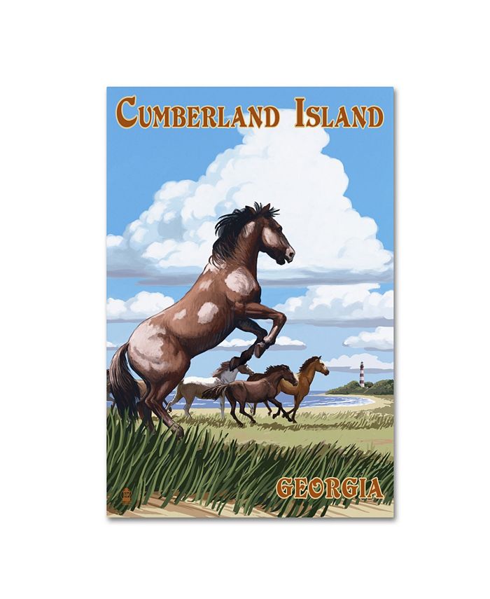 Trademark Global Lantern Press 'Animal 54' Canvas Art - 30" x 47" - Macy's