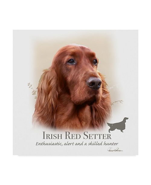 Trademark Global Howard Robinson 'Irish Red Setter' Canvas Art - 35" x ...