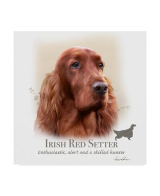 Howard Robinson 'Irish Red Setter' Canvas Art - 35" x 35" - Macy's