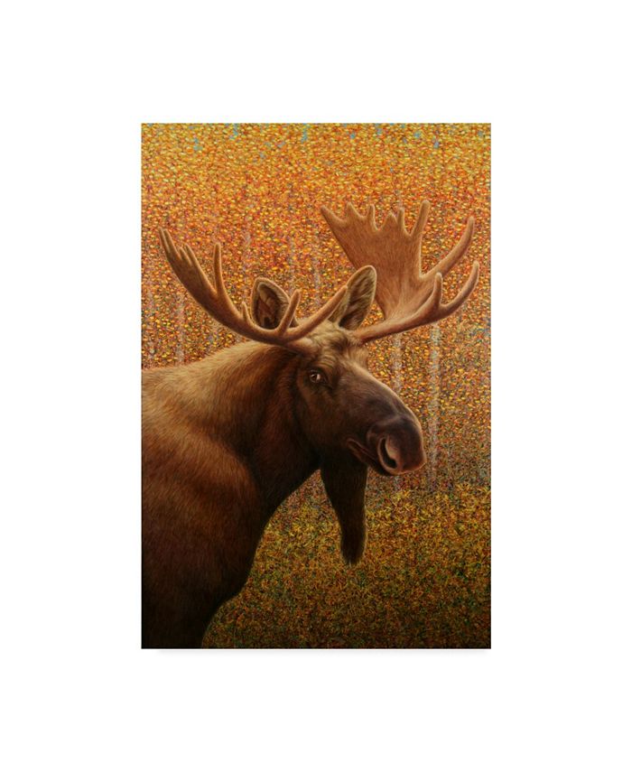 Trademark Global James W. Johnson 'Moose' Canvas Art - 30" x 47" - Macy's