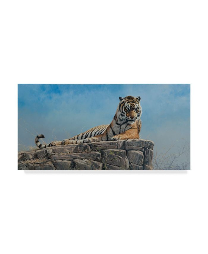Trademark Global Michael Jackson 'Tiger On Rock' Canvas Art - 47" x 24 ...