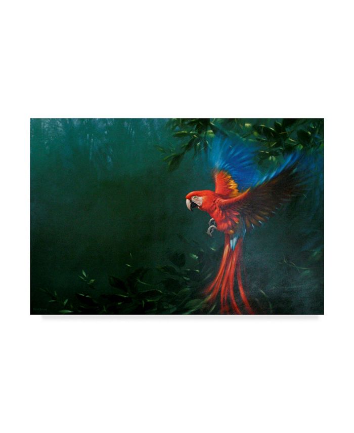 Trademark Global Michael Jackson 'Scarlet Macaw 2' Canvas Art - 32" x ...