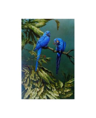 Michael Jackson 'Two Blue Macaws' Canvas Art - 30" x 47" - Macy's