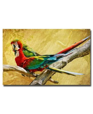 Lois Bryan 'Kissing Macaws' Canvas Art - 47" x 30" - Macy's