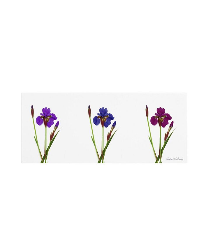 Trademark Global Kathie McCurdy 'Siberian Iris Triptych' Canvas Art - 47" x 16" - Macy's