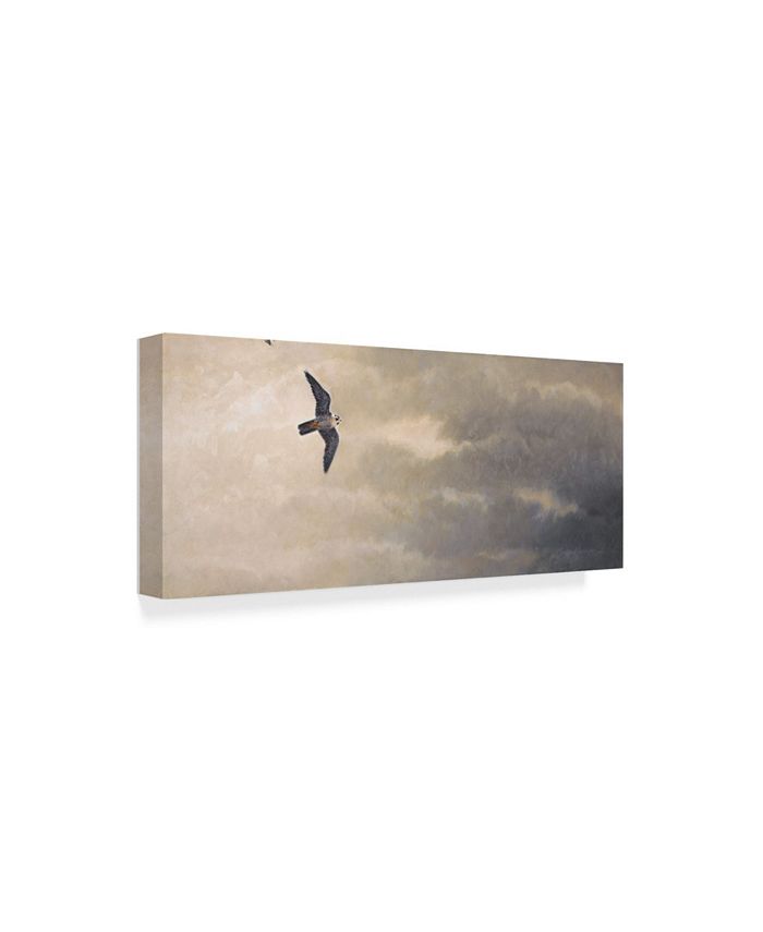 Trademark Global Michael Jackson 'Overcast Seagull' Canvas Art - 32" x ...