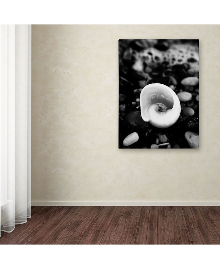 Trademark Global PIPA Fine Art 'Glowing Beach Shell' Canvas Art - 35" x ...