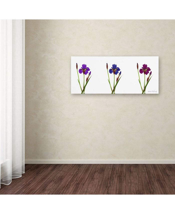 Trademark Global Kathie McCurdy 'Siberian Iris Triptych' Canvas Art - 47" x 16" - Macy's
