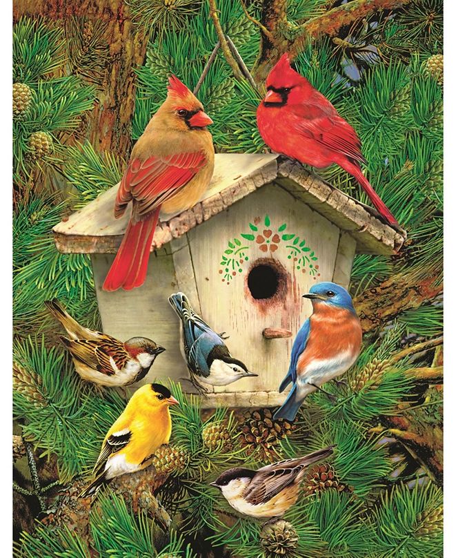 Springbok Puzzles Feathered Retreat 350 Piece Jigsaw Puzzle & Reviews ...