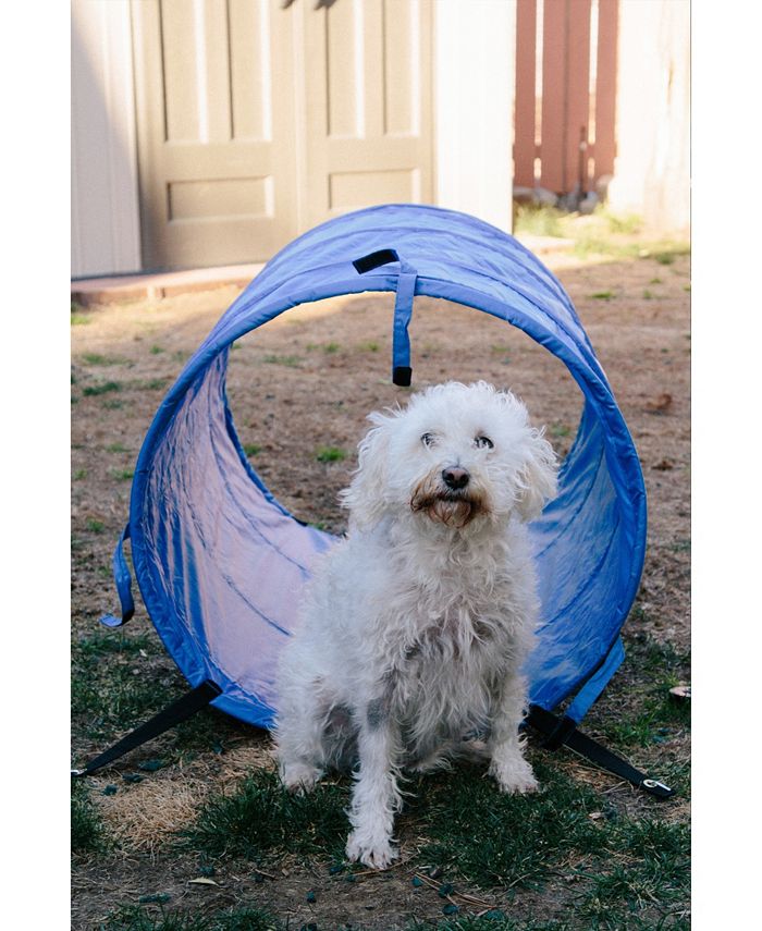 Pacific Play Tents Blue Dog Agility Chute - Macy's