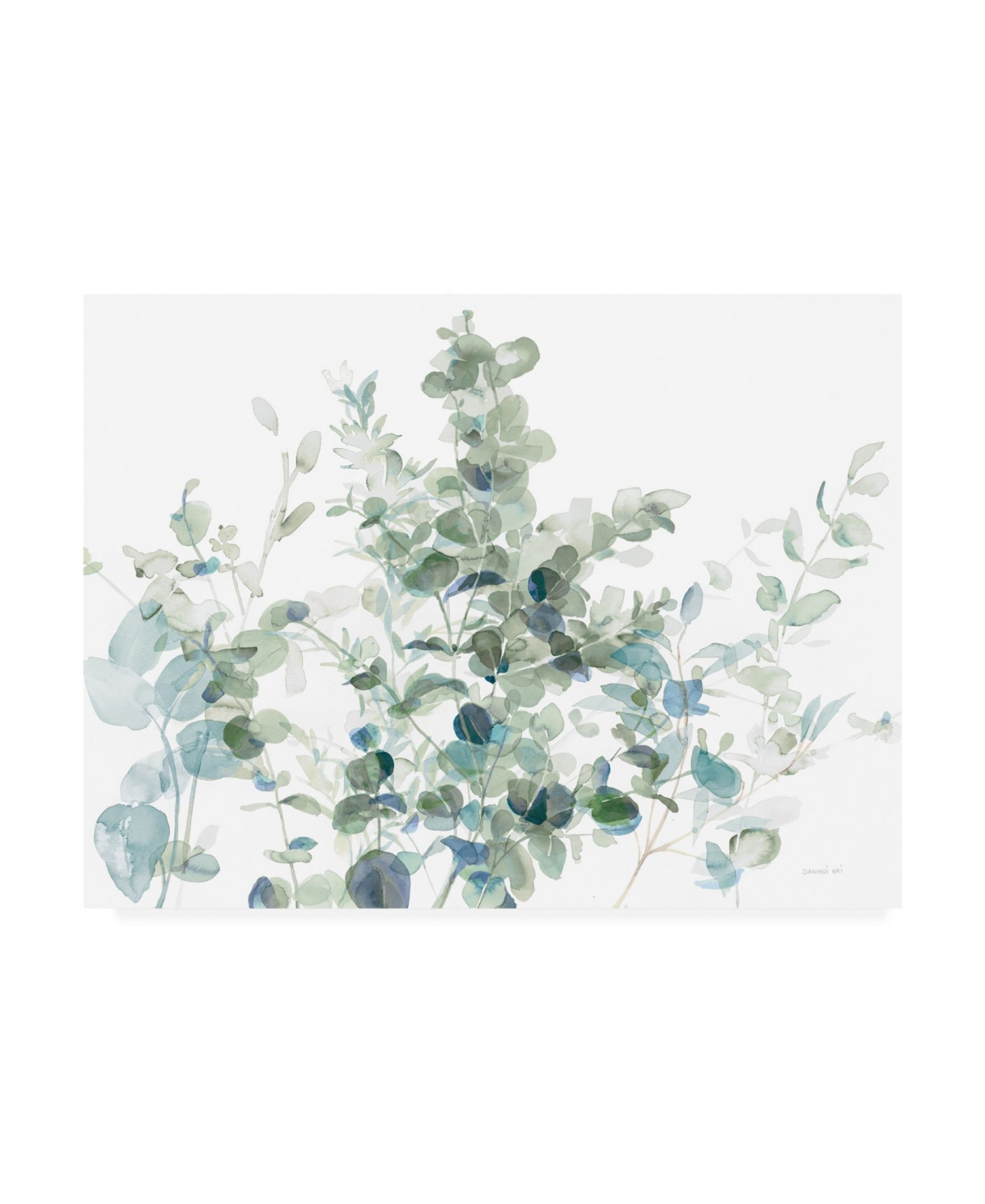 Click here for Danhui Nai Eucalyptus I Cool Canvas Art - 19.5 x 2... prices