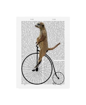 Fab Funky Meerkat on Black Penny Farthing Canvas Art - 27" x 33.5" - Macy's