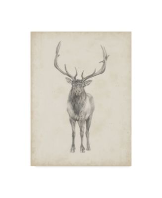 Ethan Harper Elk Study Canvas Art - 37" x 49" - Macy's