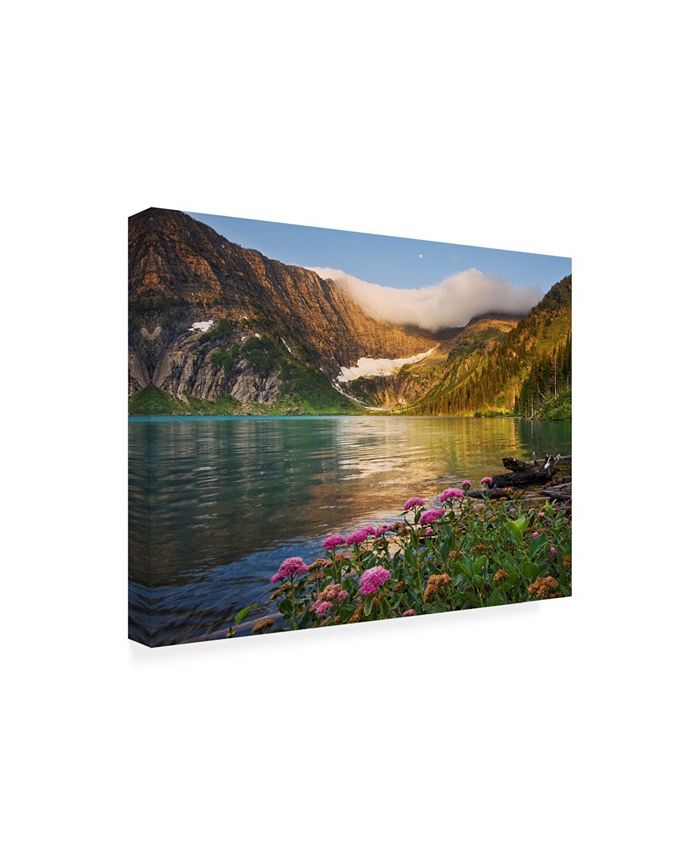 Trademark Global Doug Roane Pink Flowers Fresh Start Canvas Art - 20" x ...