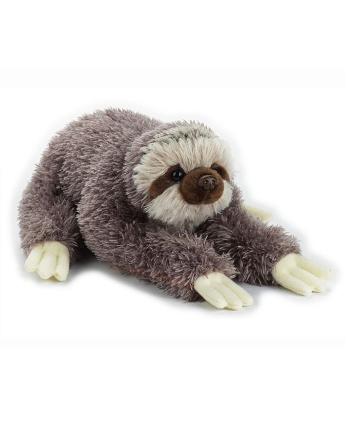 First and Main Venturelli Lelly National Geographic Sloth Basic Plush ...