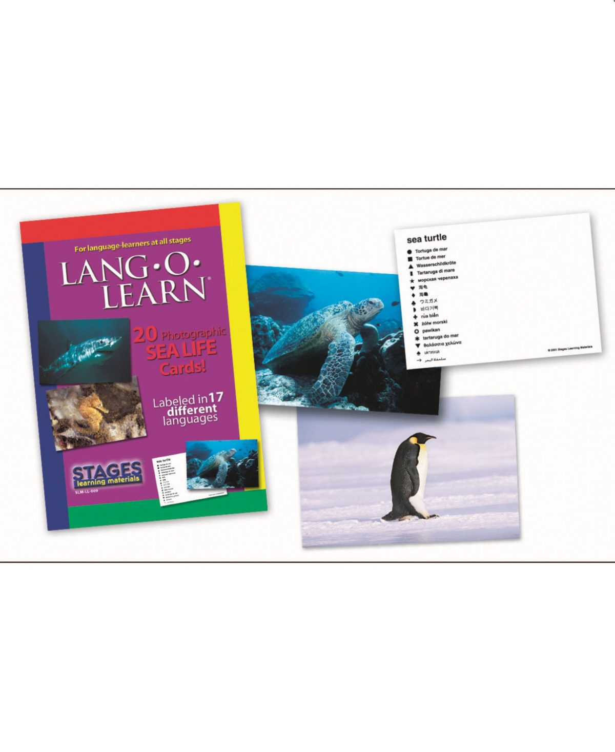 Stages Learning Materials Lang-o-learn Esl Sea Life Vocabulary Cards ...