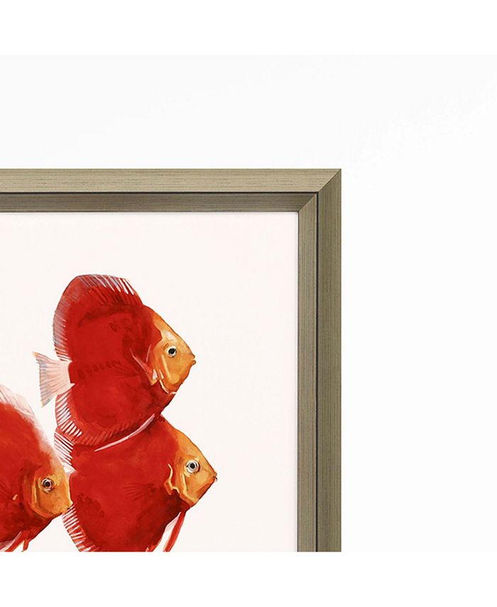 Paragon Picture Gallery Paragon Discus Fish I Framed Wall Art, 30" x 30 ...