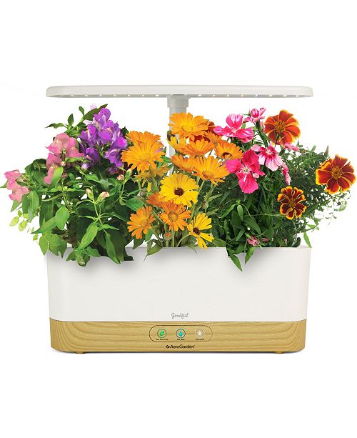 Goodful by AeroGarden Harvest Slim White with Wood Base and Gourmet ...