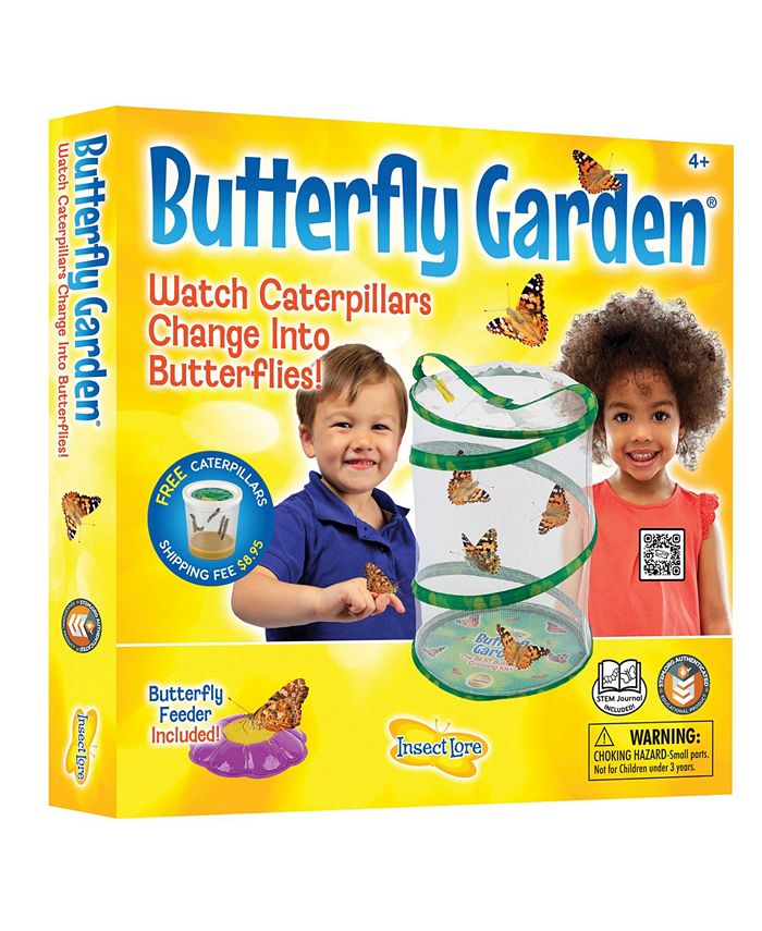 Insect Lore STEM Educational Butterfly Life Cycle Growing Kit - Macy's