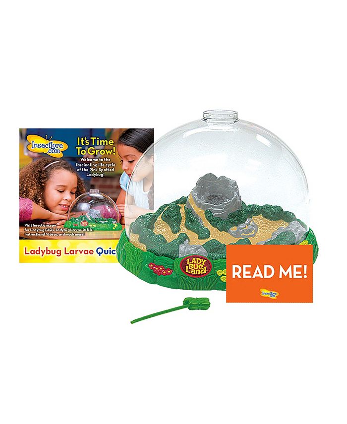 Insect Lore STEM Educational Ladybug Life Cycle Growing Kit & Reviews ...