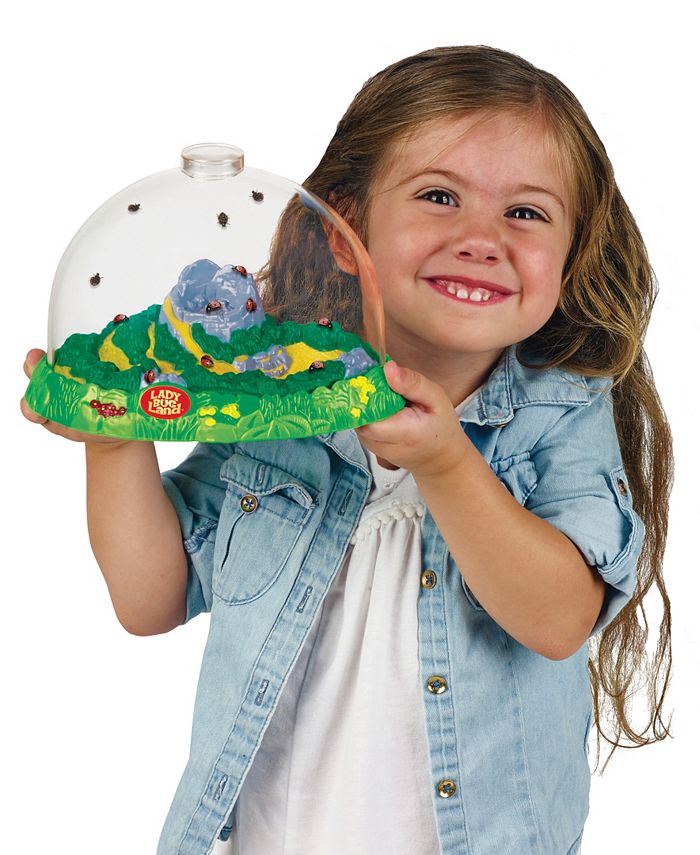 Insect Lore STEM Educational Ladybug Life Cycle Growing Kit & Reviews ...