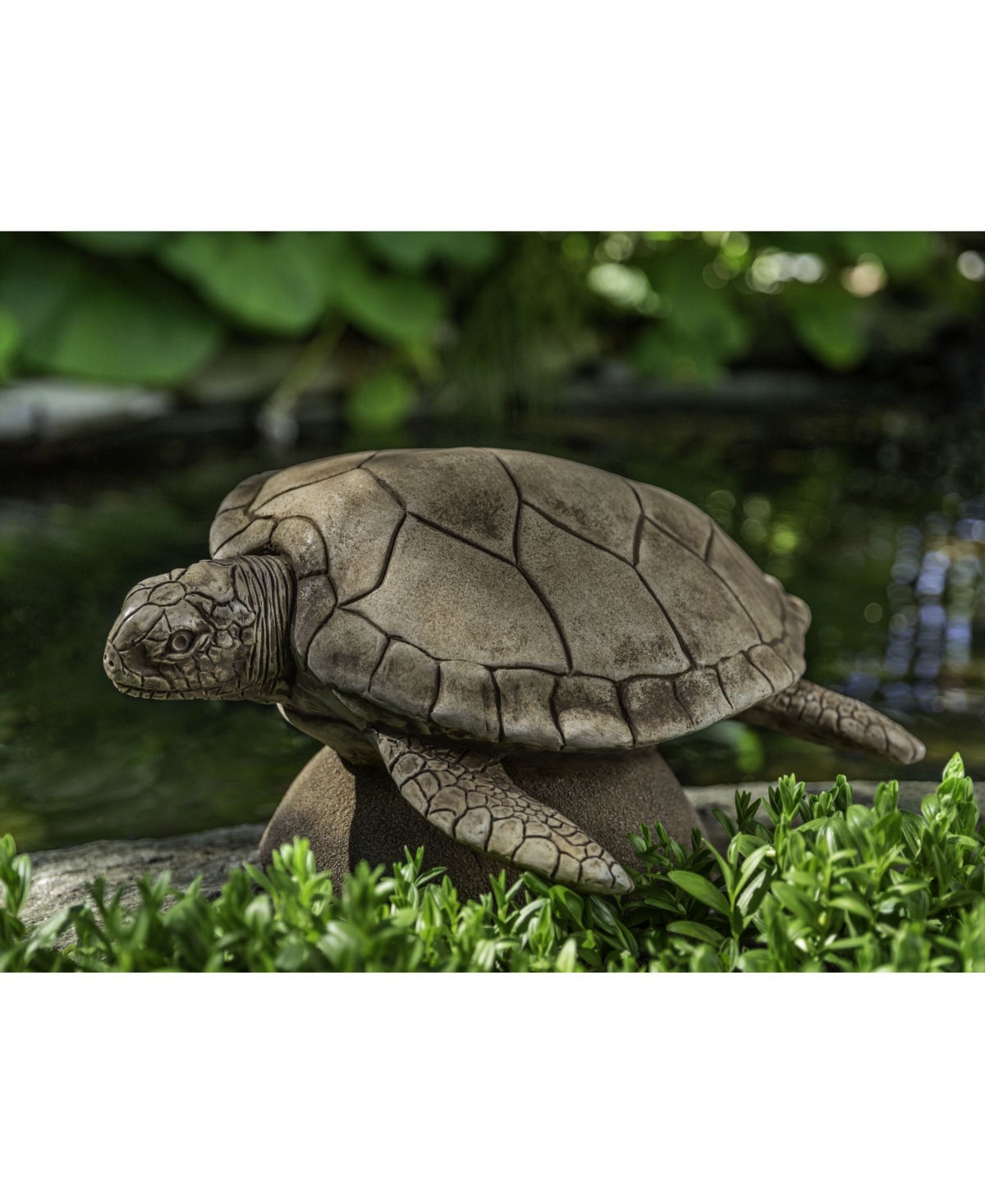 Click here for Campania International Large Sea Turtle Statuary -... prices