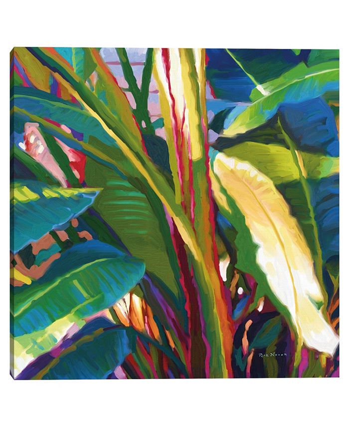Fine Art Canvas Palm Impressions by Rick Novak Canvas Art Print - Macy's