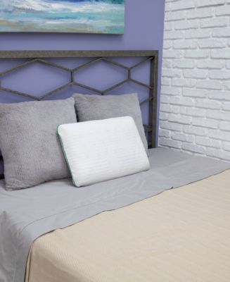 BioPEDIC Fresh and Clean Classic Comfort Memory Foam Pillow with Ultra ...