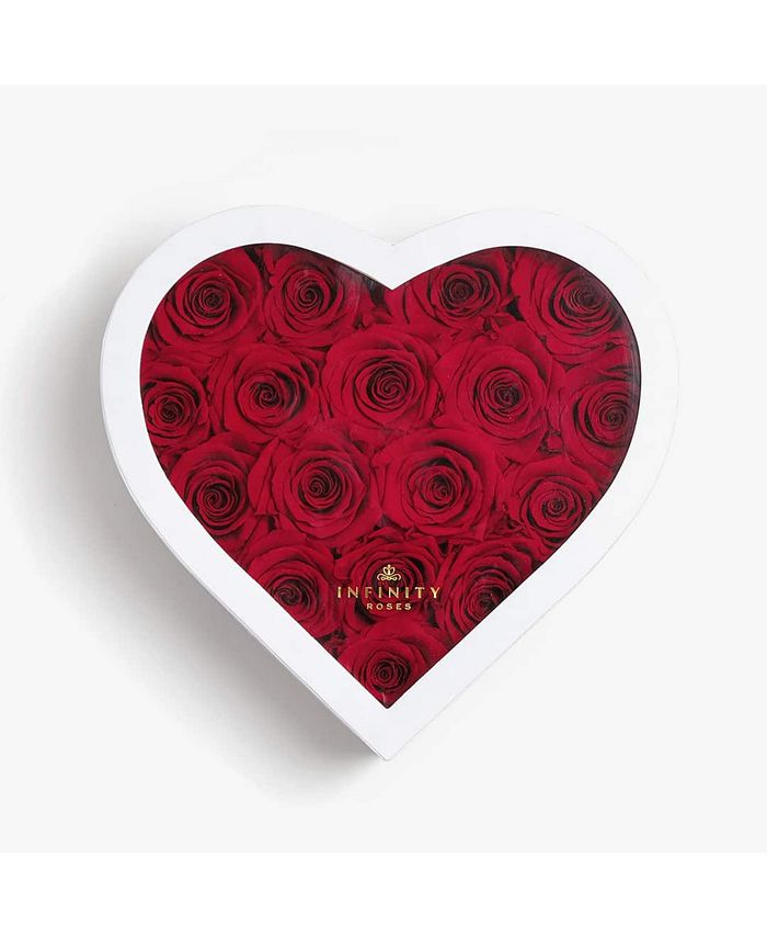 Infinity Roses Heart Box of 17 Red Real Roses Preserved to Last Over a ...