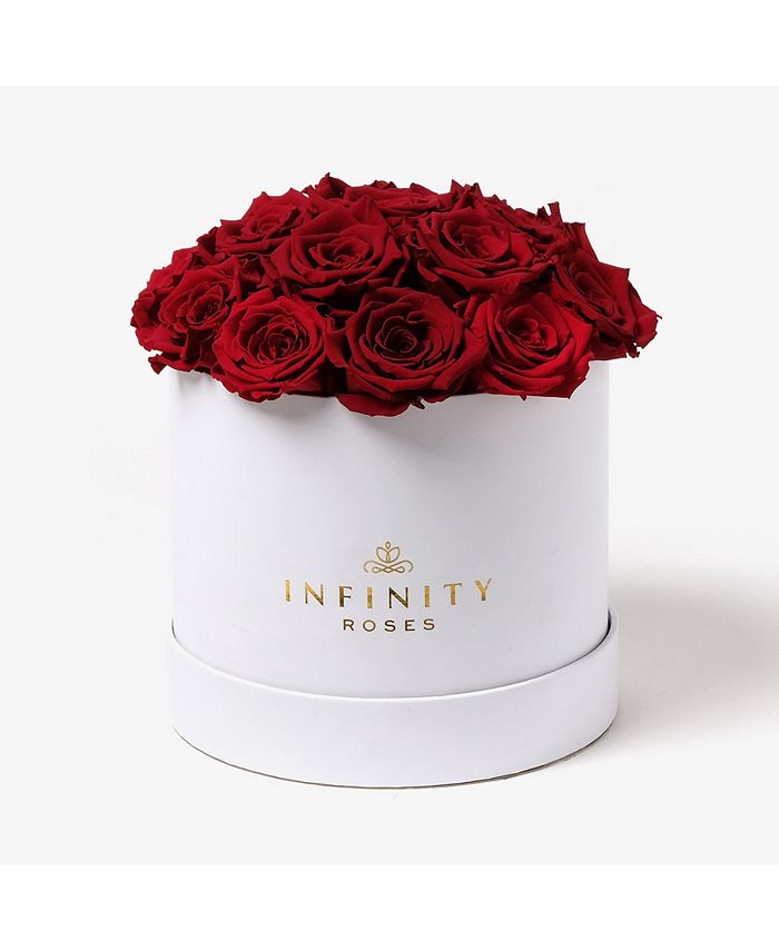 Infinity Roses Bloom Box of 16 Red Real Roses Preserved to Last Over a ...