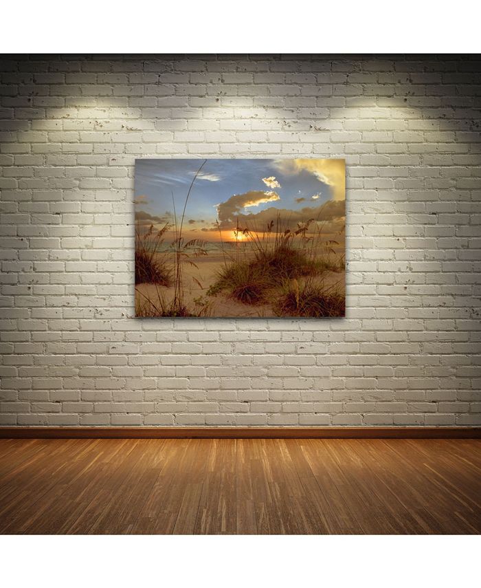 Colossal Images Tranquility, Canvas Wall Art - Macy's