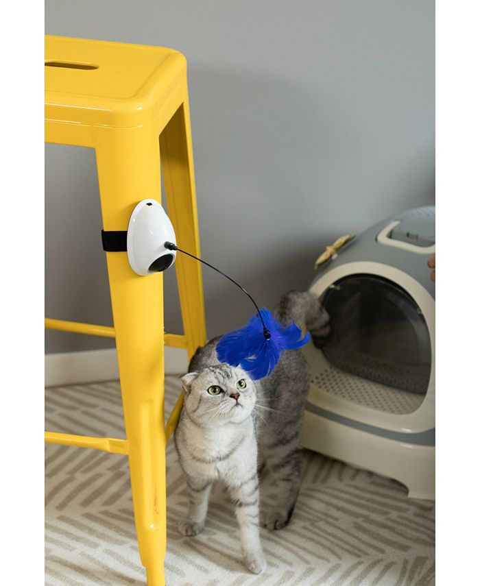 PawsMark Interactive 2-In-1 Spring Feather and Red Light Chaser Cat Toy ...