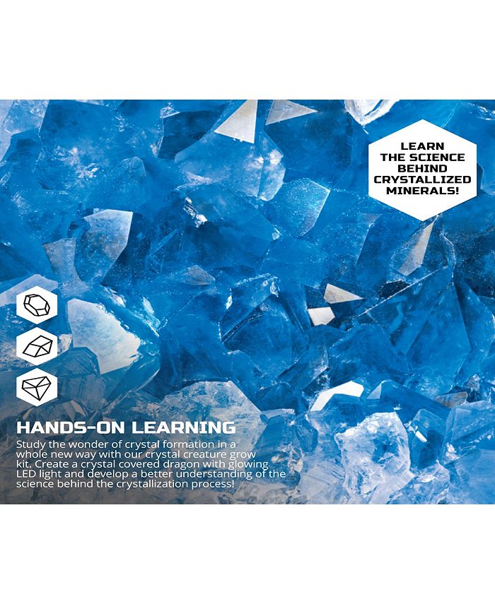 Discovery #MINDBLOWN Crystal Creatures Set - Macy's