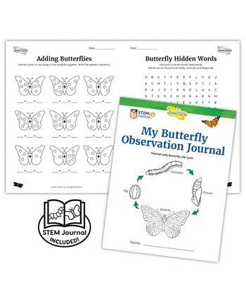 Insect Lore STEM Educational Butterfly Life Cycle Growing Kit - Macy's