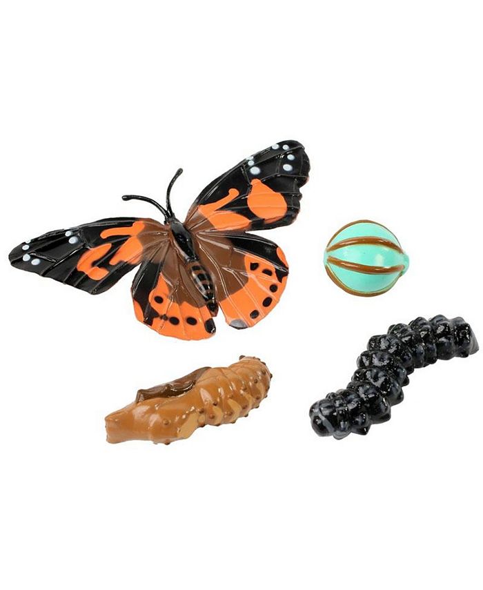 Insect Lore STEM Educational Butterfly Life Cycle Toy With Figurines ...