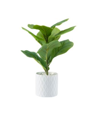 Elements Artificial Fiddlehead Plant in Ceramic Pot, 15" - Macy's