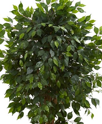 Nearly Natural 5.5' Ficus Artificial Tree - Macy's