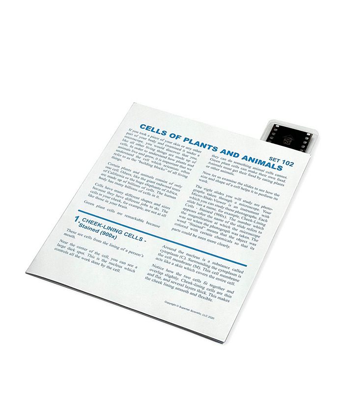 Supertek Microslide, Cells of Plants and Animals - Macy's