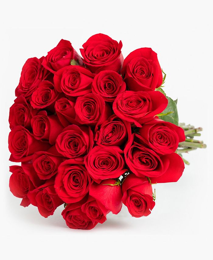 BloomsyBox Splendid Red Roses Fresh Flower Bouquet - Macy's