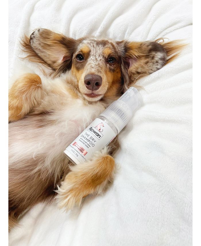 Rowan The Dry Shampoo For Dogs - Clean Ingredient and Waterless Shampoo ...
