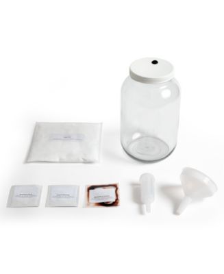 Hammer + Axe DIY Hard Seltzer Kit, Brew Hard Seltzer at Home With Glass ...