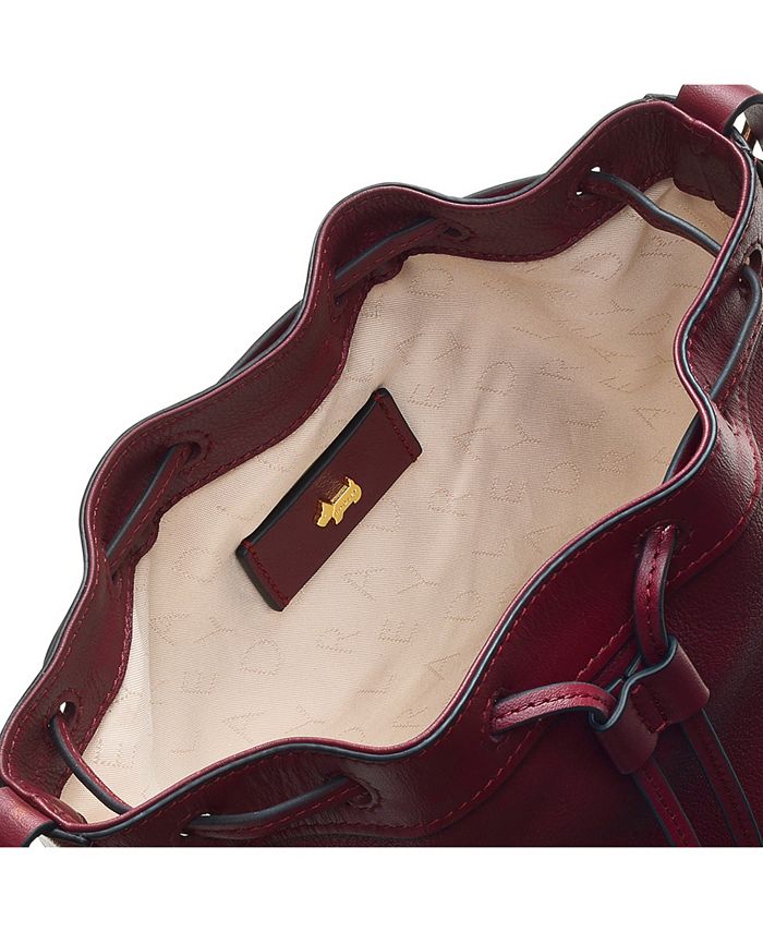 Radley London Women's Peregrine Road Small Drawstring Crossbody Bag ...