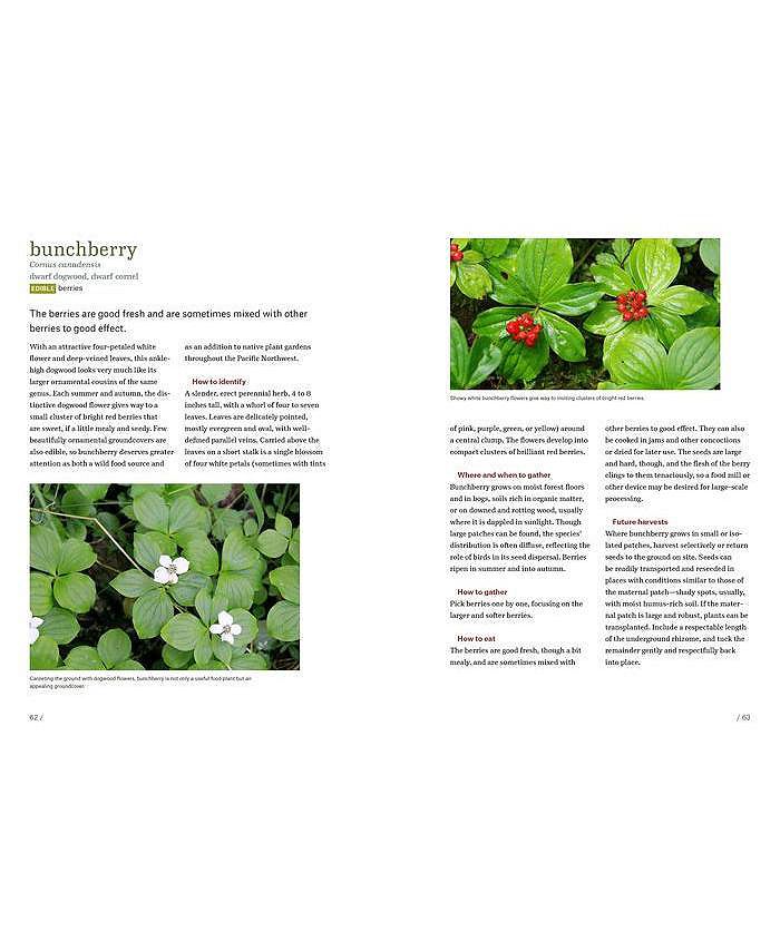Barnes & Noble Pacific Northwest Foraging: 120 Wild and Flavorful Edibles from Alaska ...