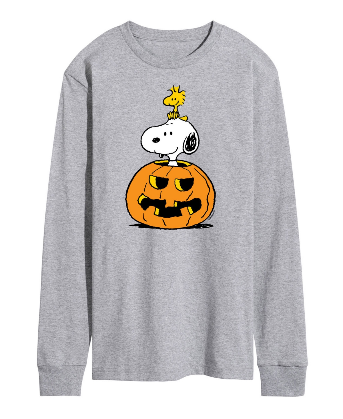 Click here for Airwaves Mens Peanuts Snoopy Pumpkin T-shirt - Gra... prices