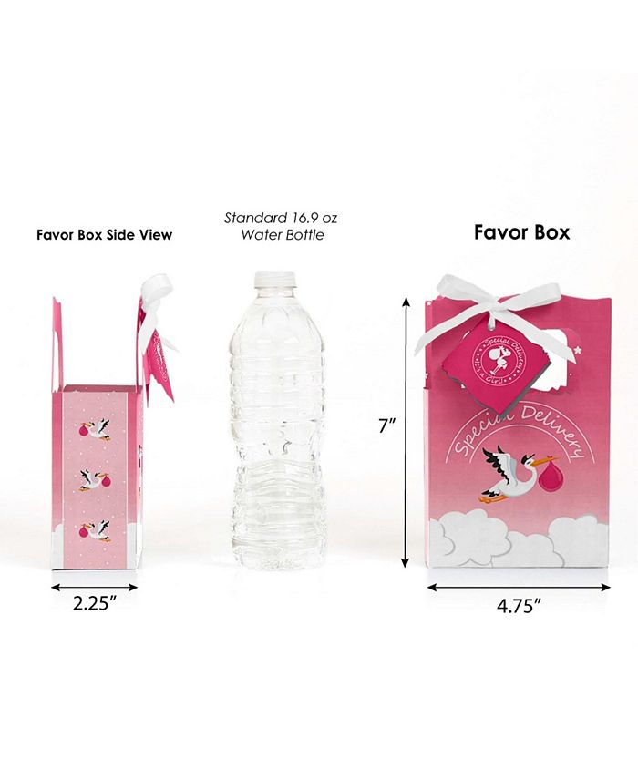 Big Dot of Happiness Girl Special Delivery - Pink It's a Girl Stork ...