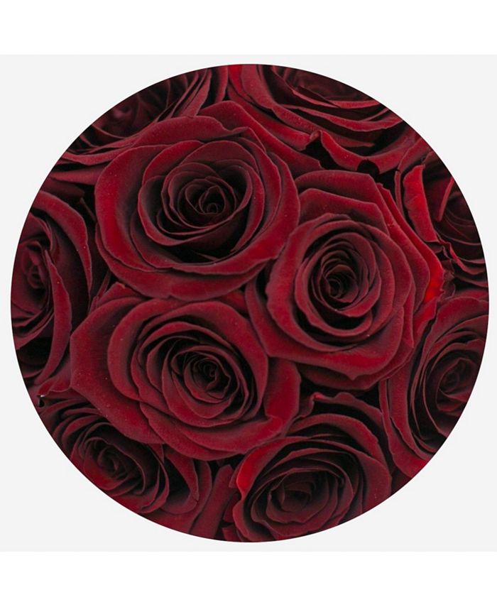 The Million Roses Basic Black Box Love Edition of Roses - Macy's