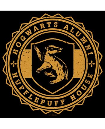 Warner Bros. Boy's Harry Potter Hogwarts Alumni Hufflepuff House Child ...