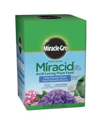 Scotts Miracle-Gro Water Soluble Miracid Acid-Loving Plant Food, 1lb ...